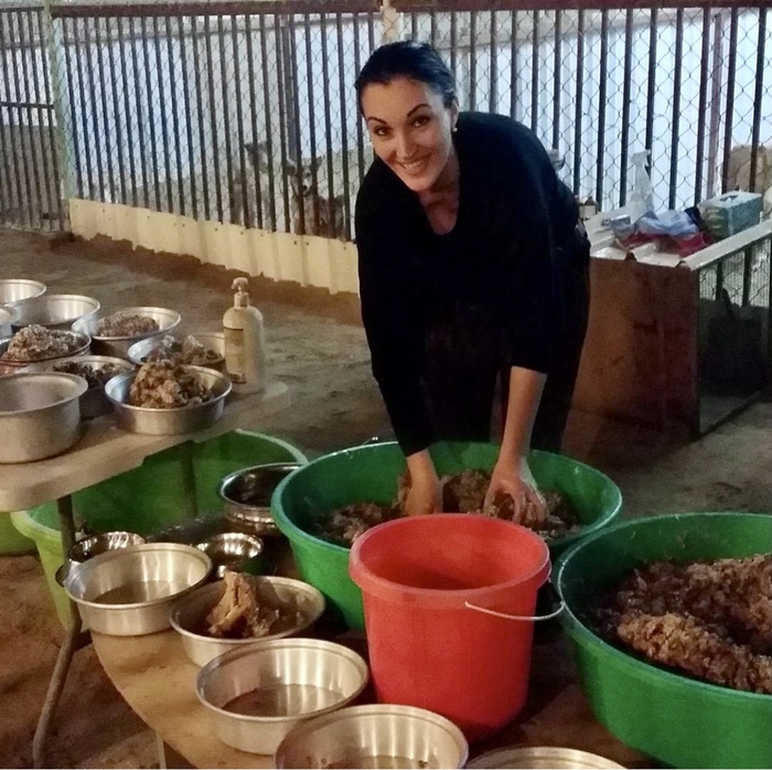 Helping Kuwait Street Dogs